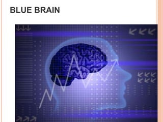 Blue Brain ppt.pptx
