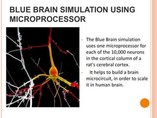 Blue Brain ppt 3.pptx
