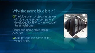 BLUE BRAIN PRESENTATION | PPT