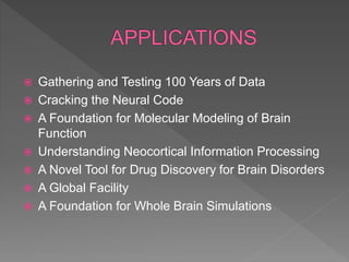 Bluebrain simple | PPT