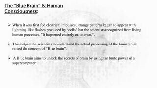 BLUE BRAIN TECHNOLOGY -19DO1A0536.pptx