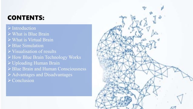 BLUE BRAIN TECHNOLOGY -19DO1A0536.pptx