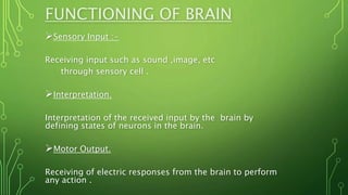 BLUE BRAIN TECHNOLOGY introduction as well as explanation | PPTX