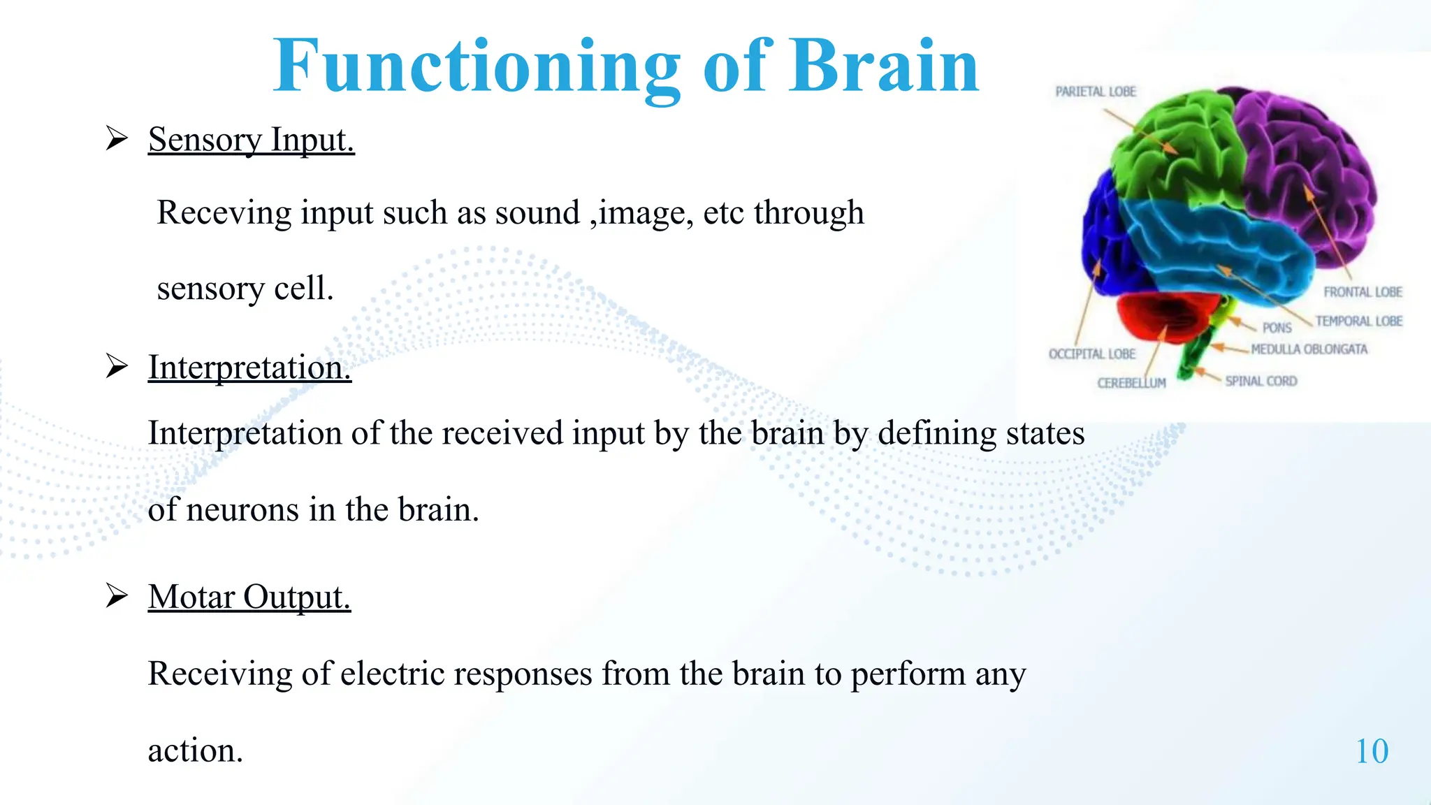 Blue Brain Technology PPt.pptx......... | PPT