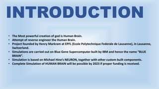 Blue Brain | PPT