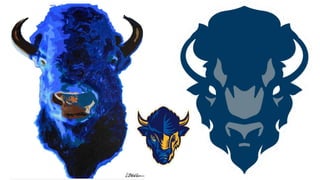 Blue Buffalo.pptx