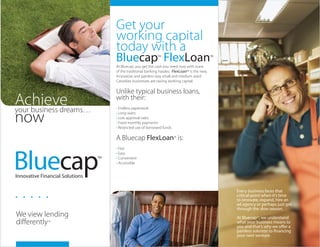 Bluecap launch presentation | PDF