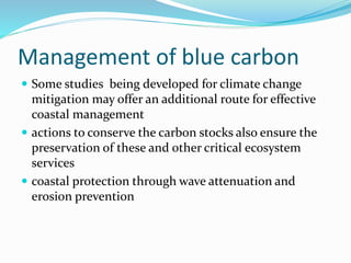 BLUE CARBON IMPACTS ON COASTAL REGIONS (3).pptx
