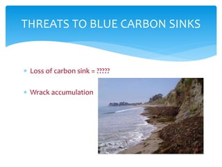 Blue carbon in sea slideshare | PPTX