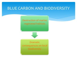 Blue carbon in sea slideshare | PPTX