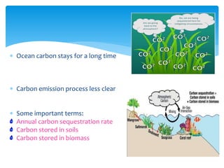 Blue carbon in sea slideshare | PPTX