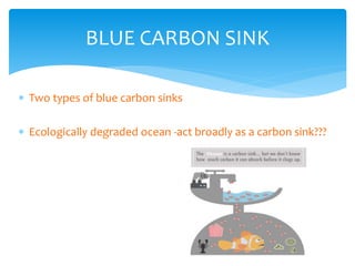 Blue carbon in sea slideshare | PPTX