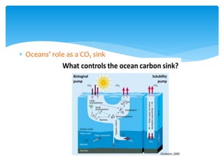 Blue carbon in sea slideshare | PPTX