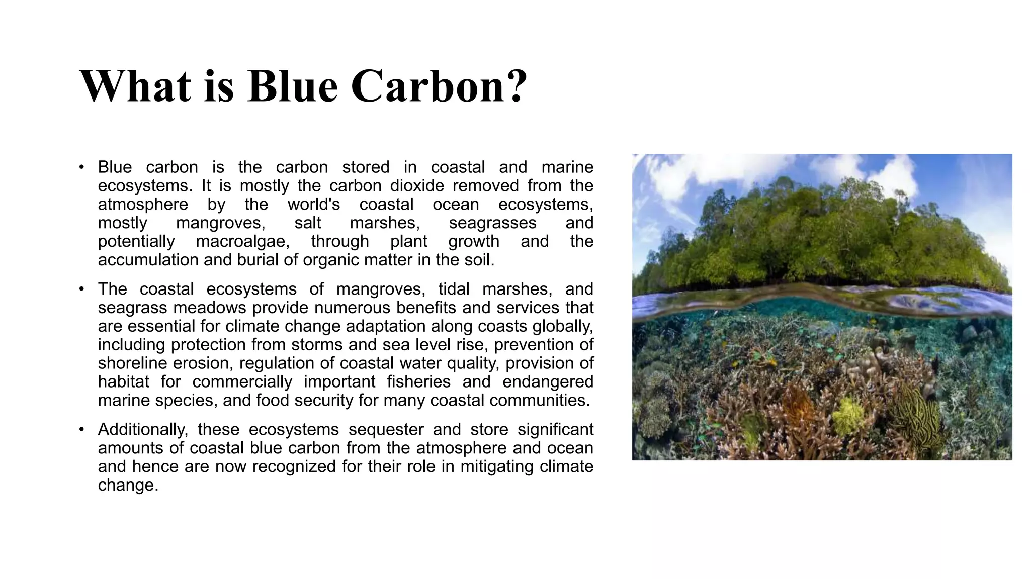 Blue carbon ppt | PPTX