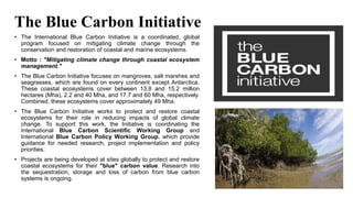 Blue carbon ppt | PPTX