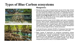 Blue carbon ppt | PPTX