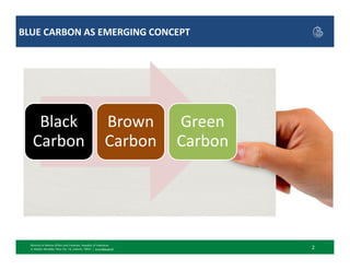 Challenges and Opportunities of Blue Carbon Implementation in Indonesia ...