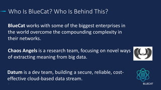 Bluecat Iceberg Journey by Cory Darby | PPT