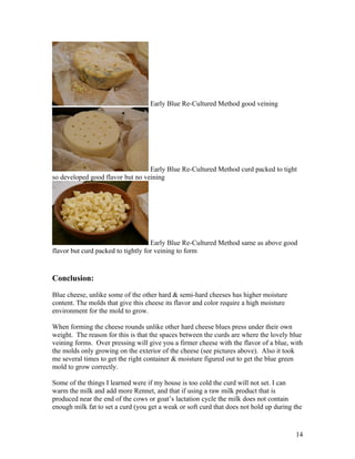 Blue cheese in a roquefort style (two methods) | PDF