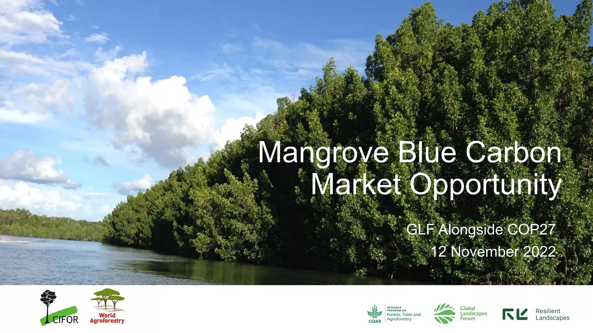 Mangrove blue carbon market opportunity | PDF