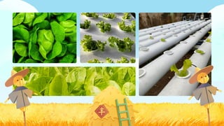 Blue Colorful Illustrative Fun Farm Presentation.pptx