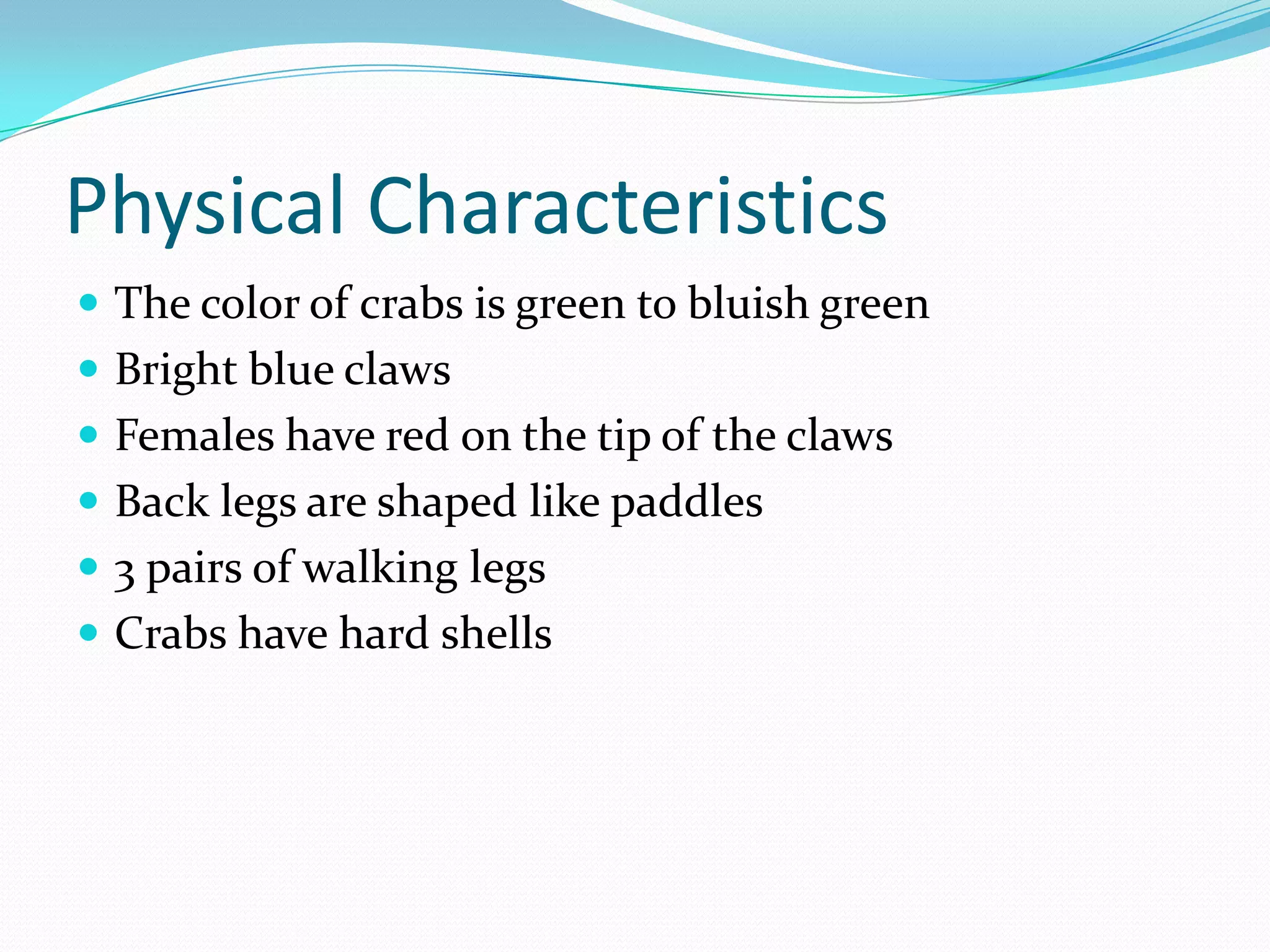 Blue crab | PPTX