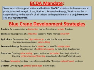 Blue Crane Route Municipality and Blue Crane Development Agency – Nico ...