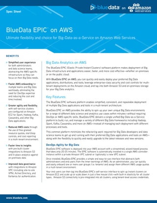 BlueData EPIC on AWS - Spec Sheet | PDF