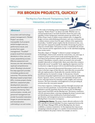 Bluedog White Paper - Fix Broken Projects.pdf