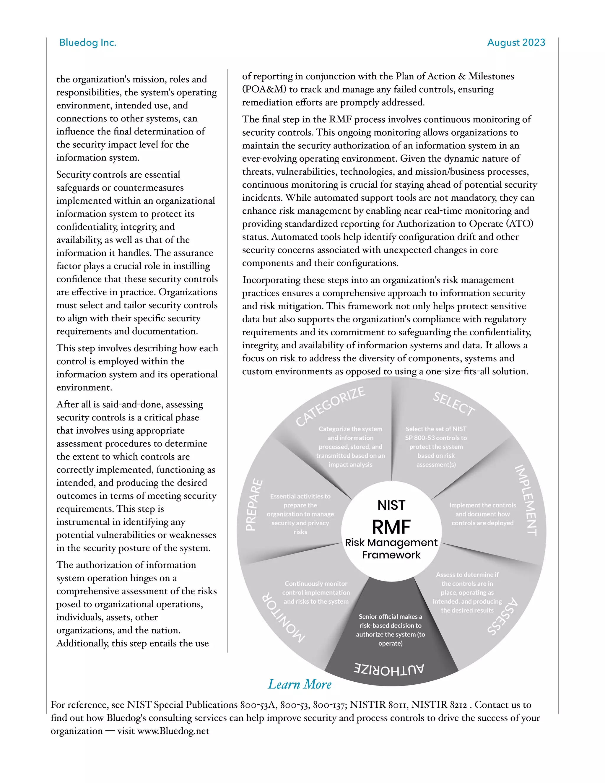 Bluedog White Paper - overview of RMF implementation.pdf