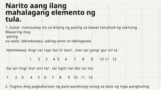 Blue Doodle Project Presentation (1).pptx