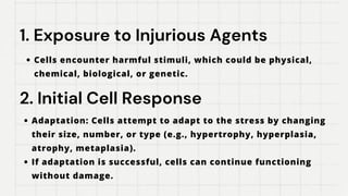 Basic Introduction of the General Pathology | PPT