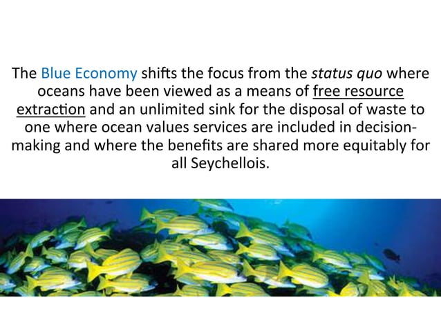 Blue Economy in the Seychelles | PDF | Business | Business and Finance