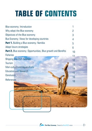 Blue Economy (Namibia 2030) | PDF