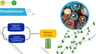 Blue energy revolution penggunaan baterai dari alga sebagai sumber ...