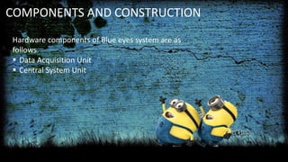 Blue eyes ppt | PPTX
