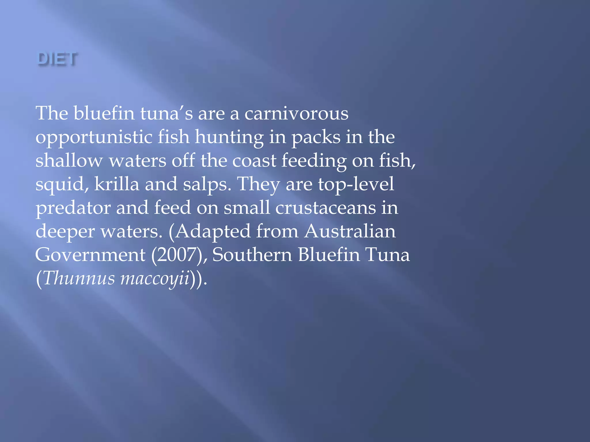 Blue fin tuna | PPT