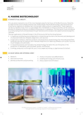 Blue generation guide a4_eng_v4_for print | PDF