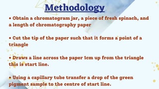 Paper Chromatography | PPTX