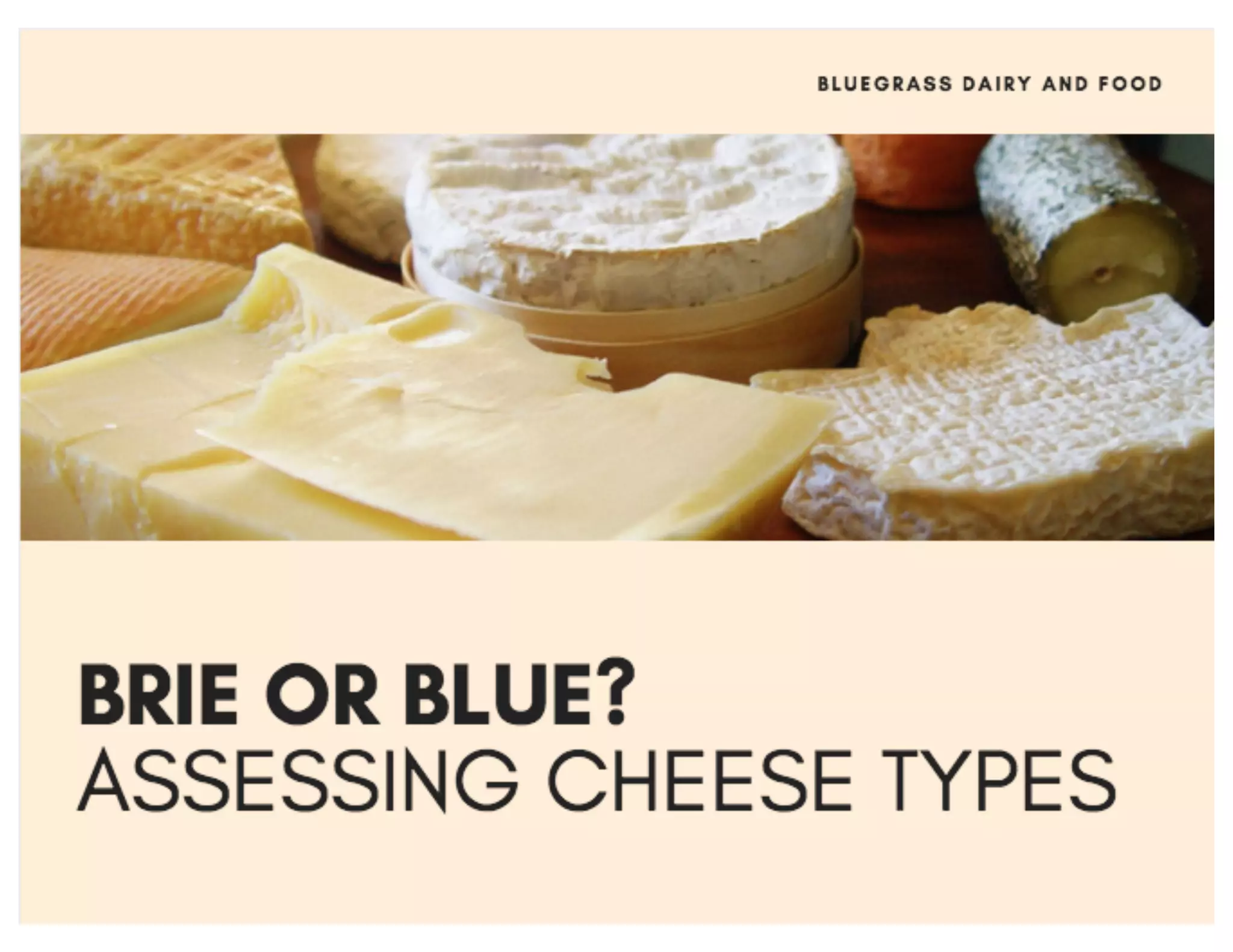 Brie or Blue? Assessing Cheese Types | PDF | World Cuisines | Food & Drink