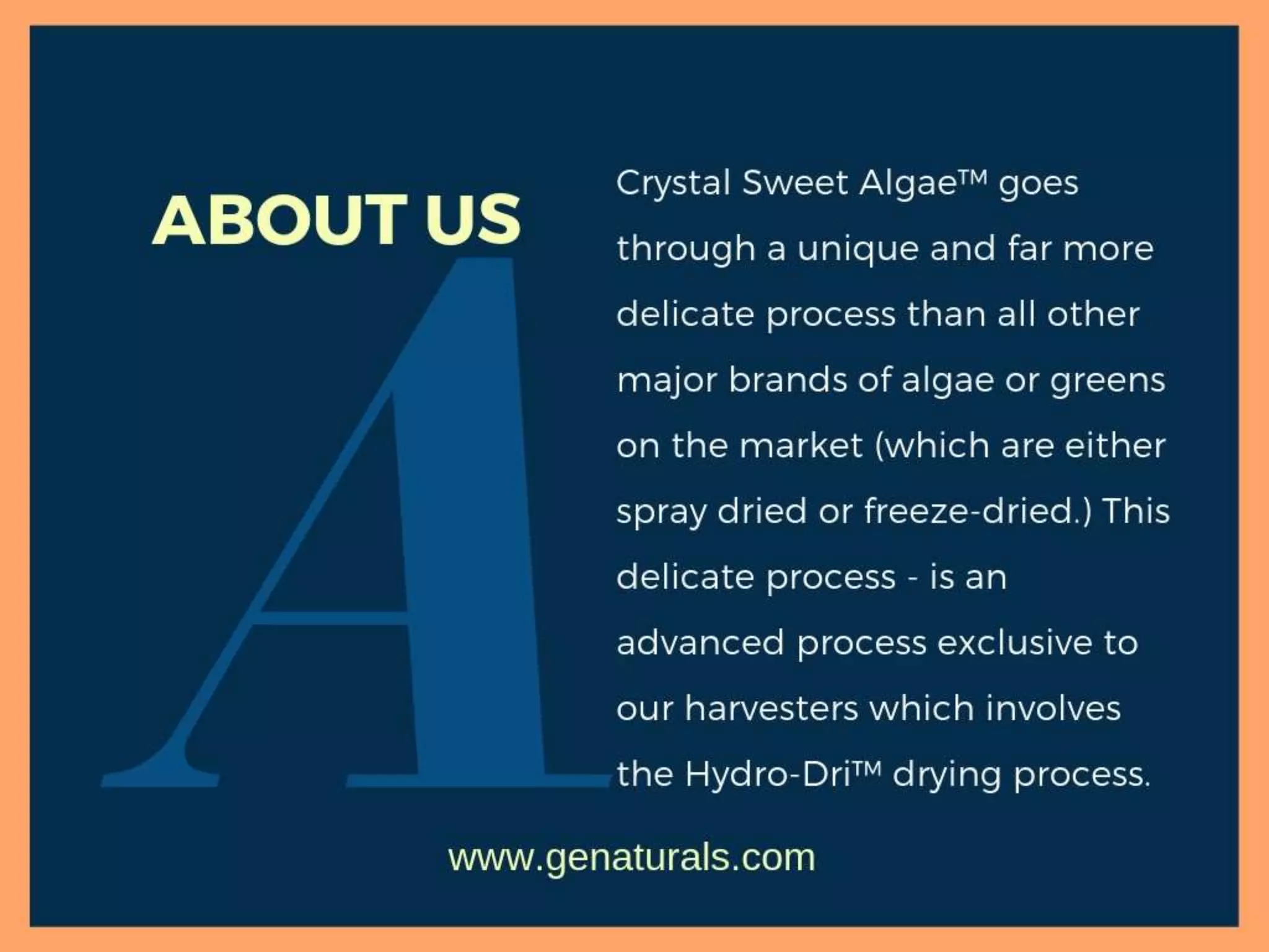 Blue green algae supplement | PPTX