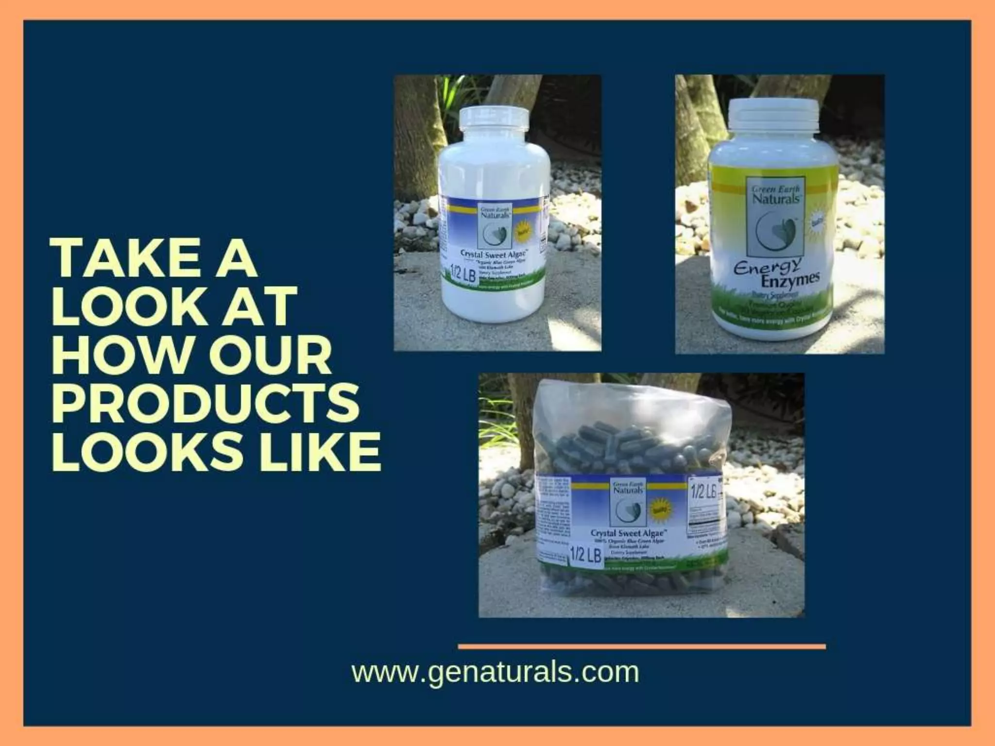 Blue green algae supplement | PPTX