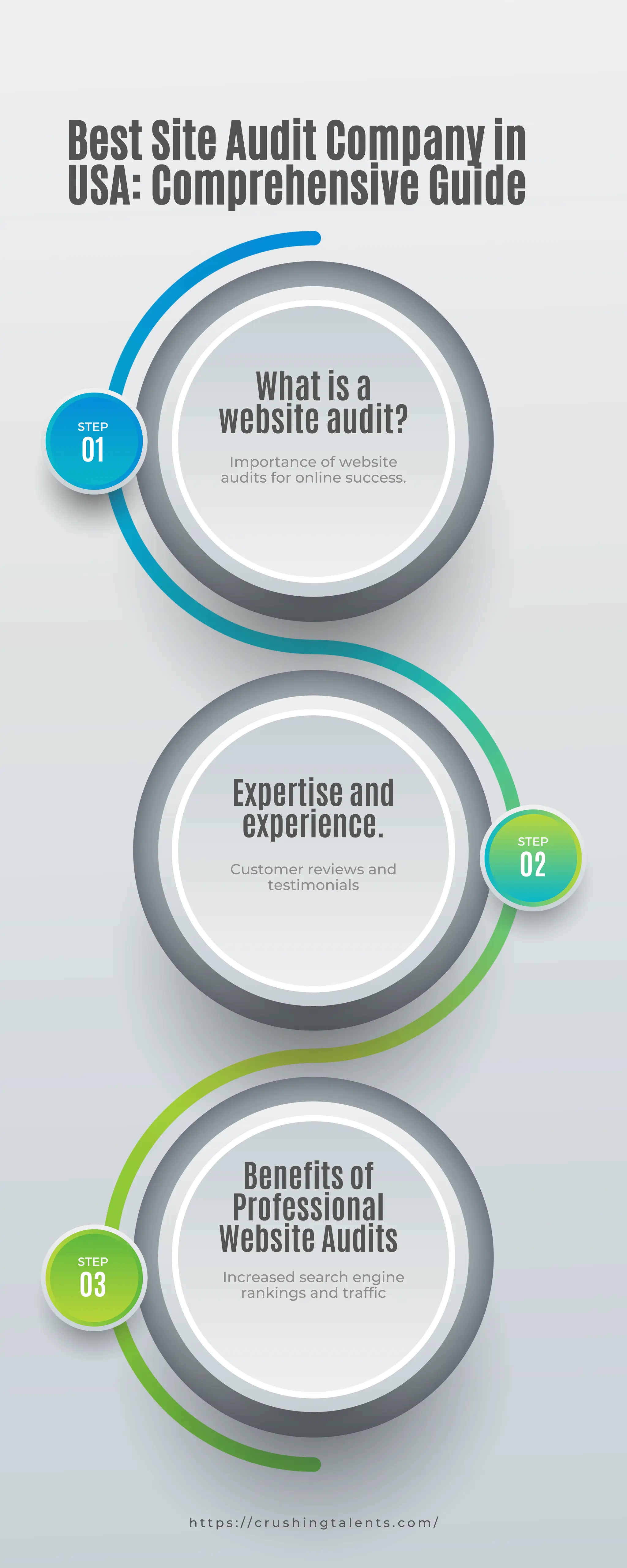 Best site audit company in usa comprehensive guide | PDF