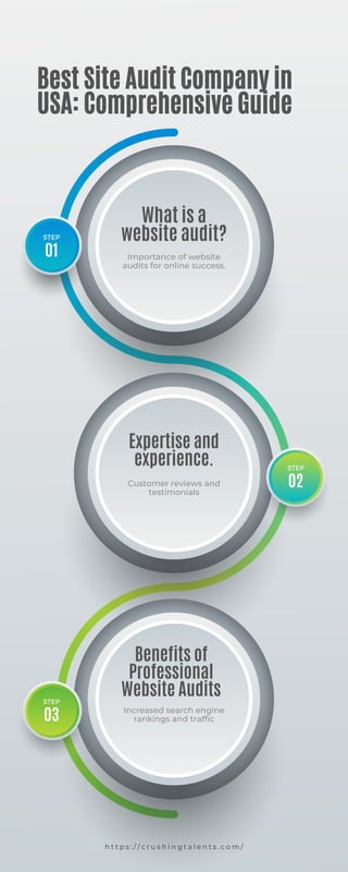 Best site audit company in usa comprehensive guide | PDF