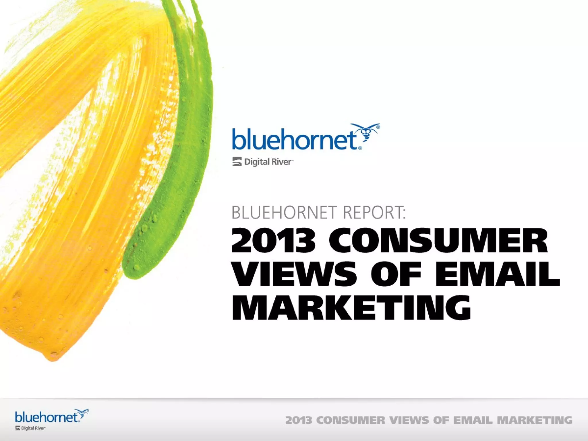 BlueHornet Consumer Views of Email Marketing 2013 | PPT