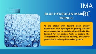 Blue Hydrogen Manufacturing Plant Project Report 1 (2).pptx