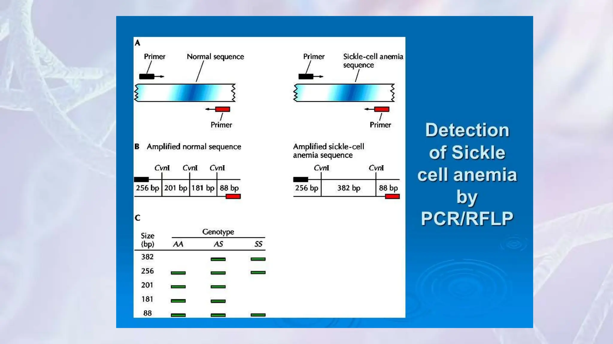 Blue Illustrated Laboratory Presentation.pptx