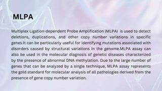 Blue Illustrated Laboratory Presentation.pptx