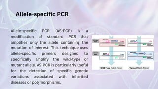 Blue Illustrated Laboratory Presentation.pptx