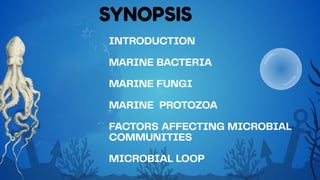 Marine microbial communities - bacteria, fungi, protoza | PDF